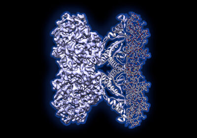 NIH Common Fund Transformative High Resolution Cryo-Electron Microscopy ...