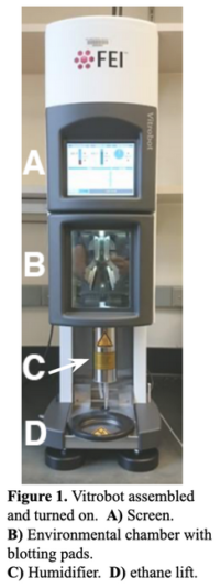 TFS Vitrobot Mark IV SOP – NIH Common Fund Transformative High ...