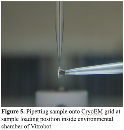 TFS Vitrobot Mark IV SOP – NIH Common Fund Transformative High ...