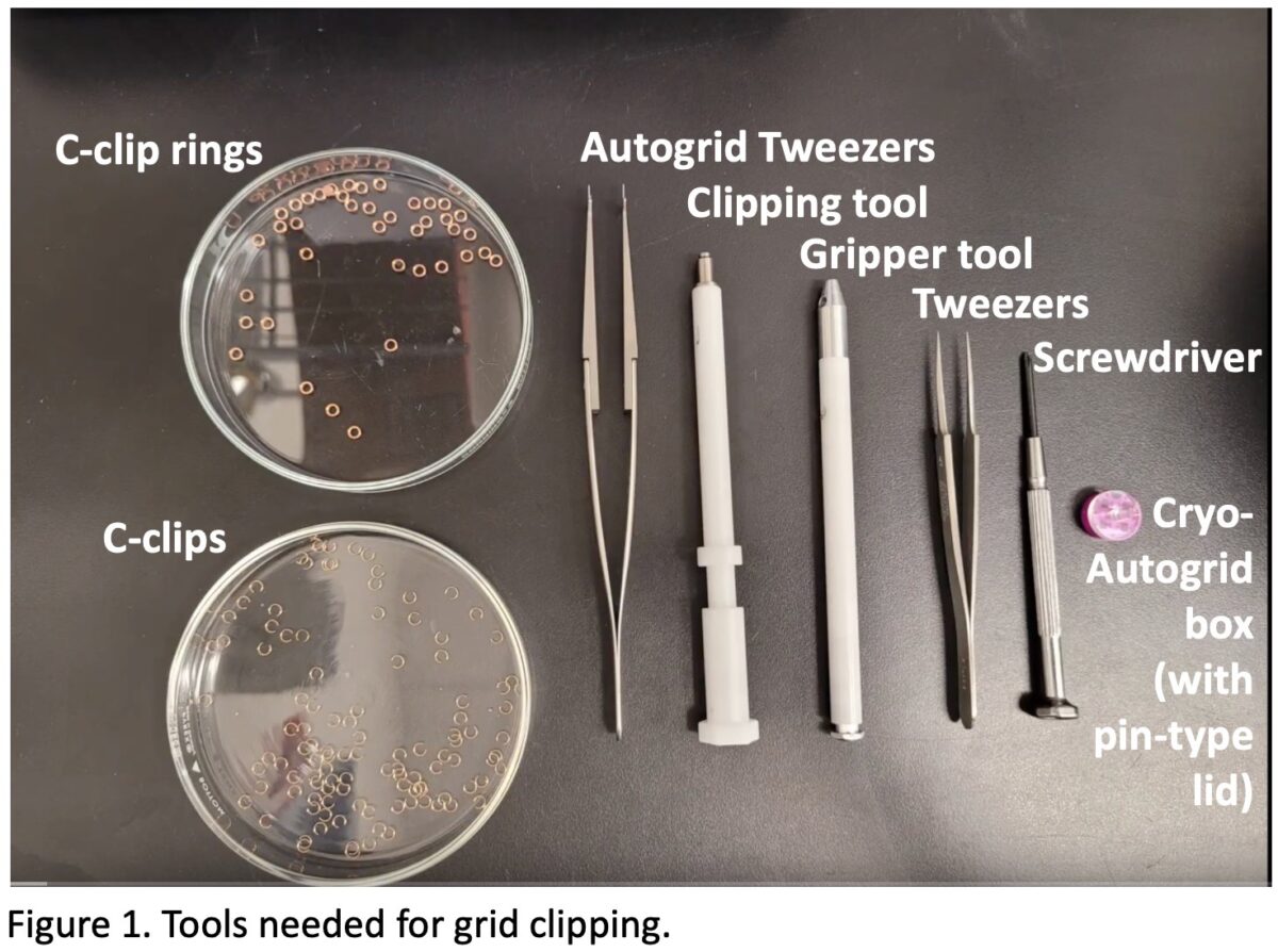 Grid Clipping SOP – NIH Common Fund Transformative High Resolution Cryo ...