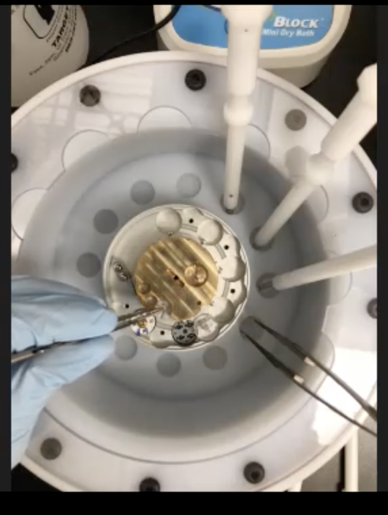 Grid Clipping – NIH Common Fund Transformative High Resolution Cryo ...