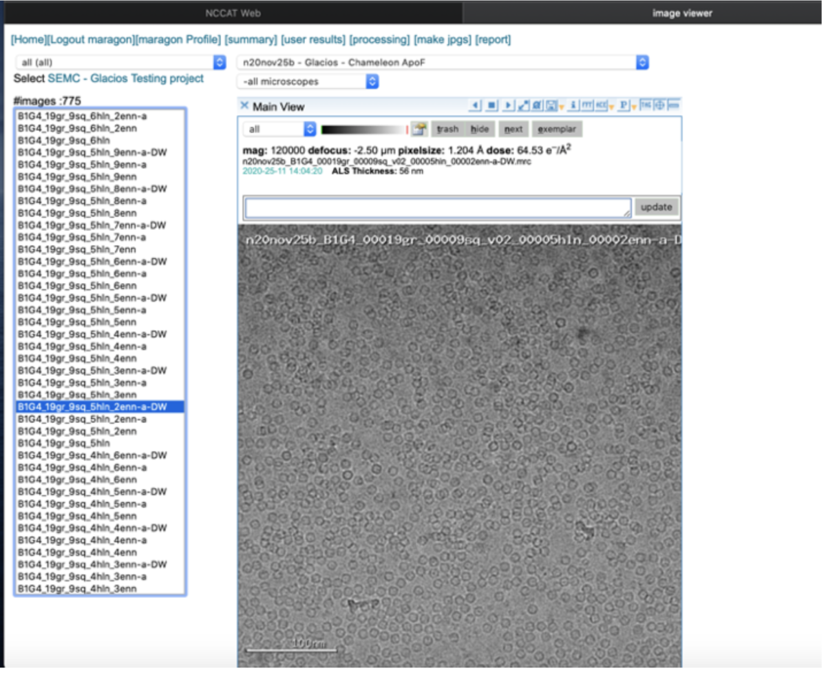 Screening with Leginon – NIH Common Fund Transformative High Resolution ...