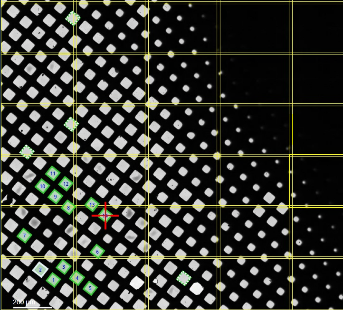 Screening with EPU – NIH Common Fund Transformative High Resolution ...
