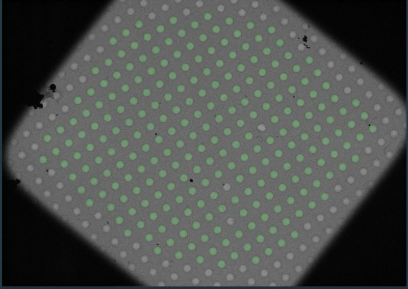 Screening with EPU – NIH Common Fund Transformative High Resolution ...