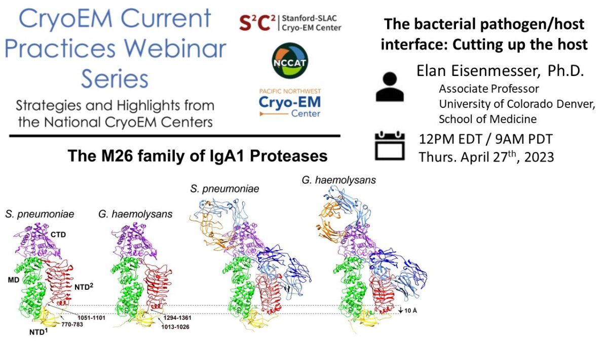 EVENTS – NIH Common Fund Transformative High Resolution Cryo-Electron ...